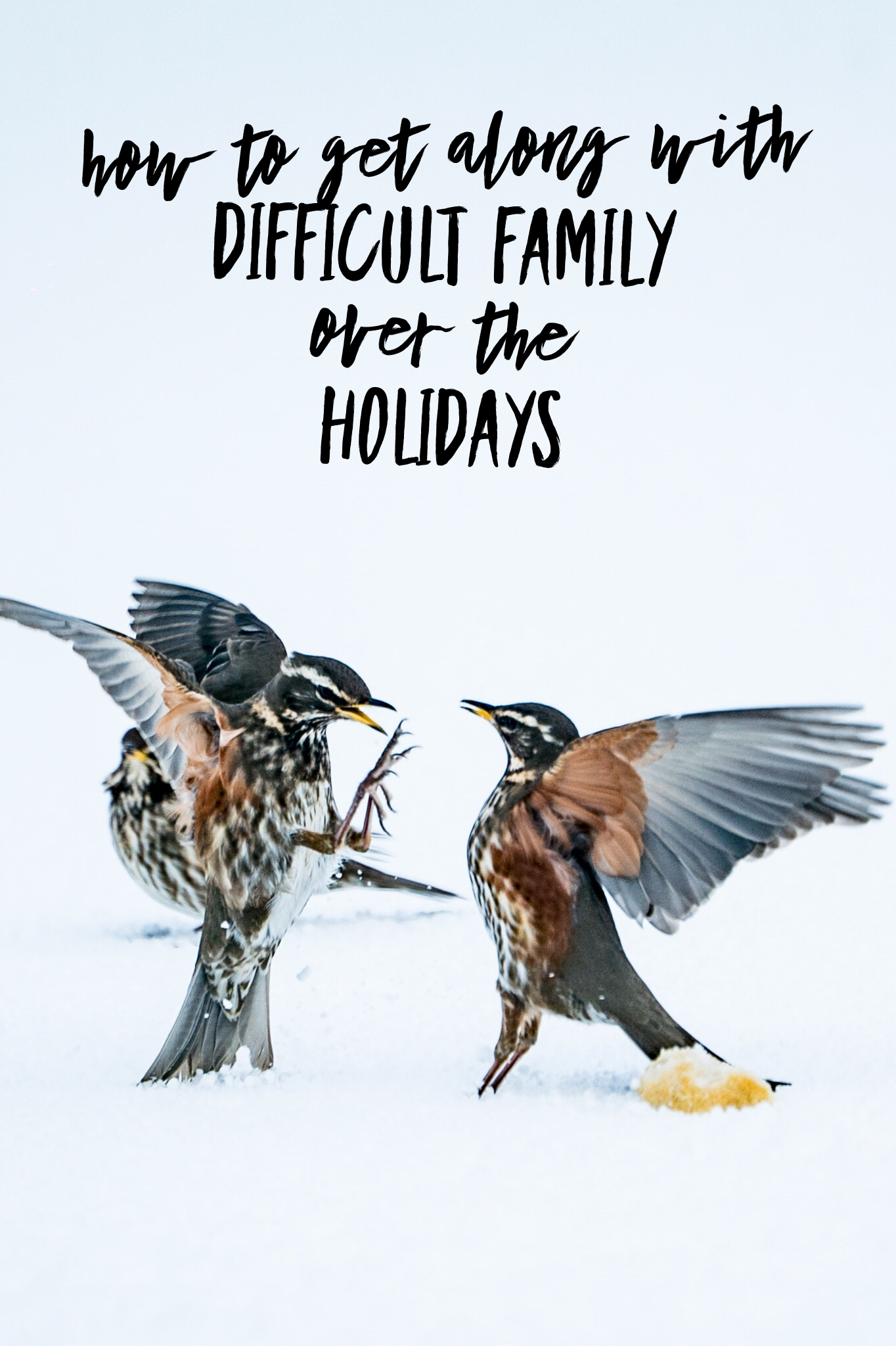 How to Survive the Holidays with Difficult Family - A Thousand Lights