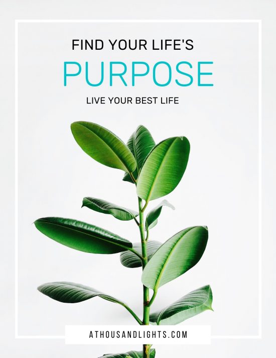 How to Figure Out Your Purpose in Life - A Thousand Lights